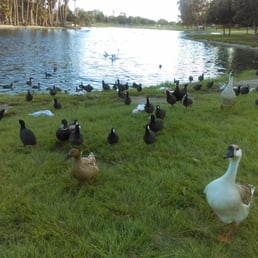 Earvin Magic Johnson Park - 21 Photos - Recreation Centers - 12601 ...