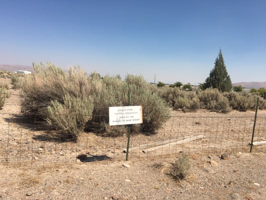 High Desert State Prison - Jails & Prisons - 475-750 Rice Canyon Rd ...