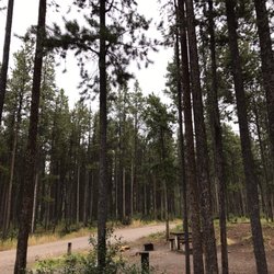 Wapiti Campground - Campgrounds - Jasper, AB - Yelp