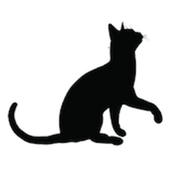 Little Cat Catering - Caterers - Financial District, San Francisco, CA ...