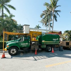 The Davey Tree Expert Company - Tree Services - 5515 Yahl St Ste A ...