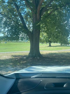 Dallas, NC Map & Directions - MapQuest