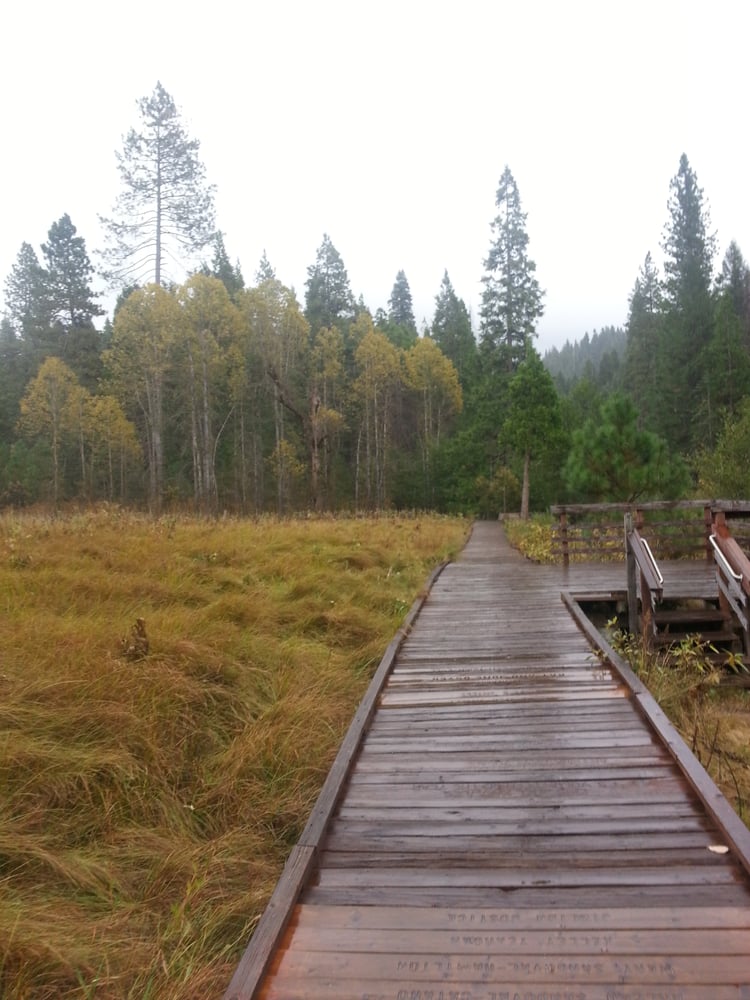 Pipi Campground - 55 Photos & 17 Reviews - Campgrounds - Pioneer, CA ...