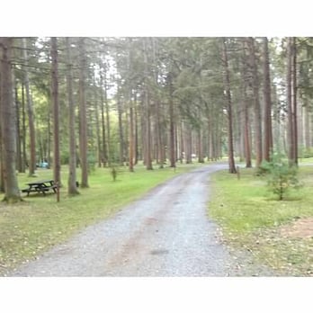 Hyner Run State Park - 28 Photos - Parks - 86 Hyner Park Rd, Hyner, PA ...