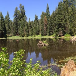 Balch Park Campground - 52 Photos & 15 Reviews - Campgrounds - 48200 ...