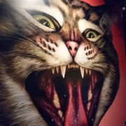 Jupiter Bar - 103 Photos & 77 Reviews - Bars - 2126 2nd Ave, Belltown ...