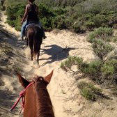 Pacific Dunes Riding Ranch - 70 Photos & 93 Reviews - Horseback Riding ...