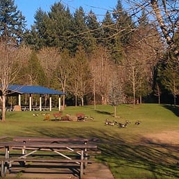 Cook Park - 25 Photos & 15 Reviews - Parks - 17005 SW 92nd Ave - Tigard ...