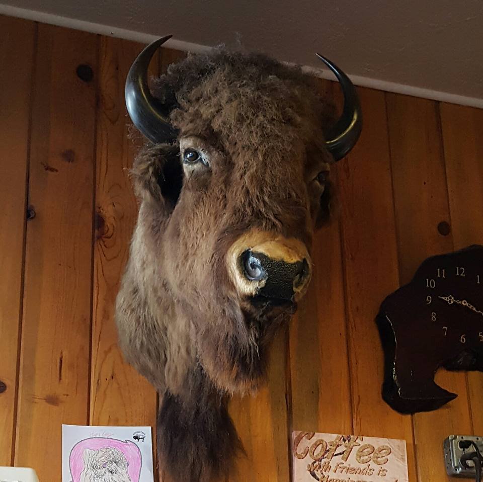 Buffalo Cafe - 84 Photos & 180 Reviews - American (Traditional) - 218 ...