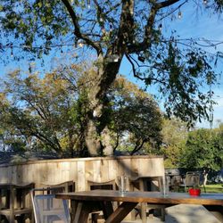 The Little Darlin’ - 173 Photos & 195 Reviews - American (Traditional ...