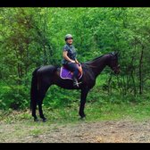 Memory Lane Stables - 101 Photos & 39 Reviews - Horseback Riding - 8290 ...