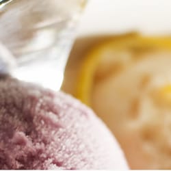 Gelato Fino Desserts - Bakeries - 1627 NW 38th Ave, Fort Lauderdale, FL ...