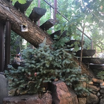 Forest Room 5 - 111 Photos & 586 Reviews - Tapas Bars - 2532 15th St ...