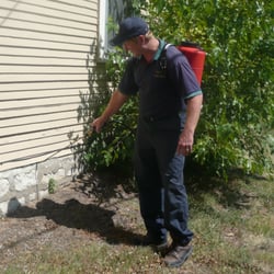 All-Ridd Pest Control - 2019 All You Need to Know BEFORE You Go (with ...