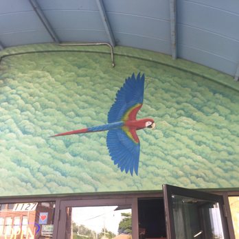 Preuss Pets - 29 Photos & 52 Reviews - Pet Stores - 1127 N Cedar St ...