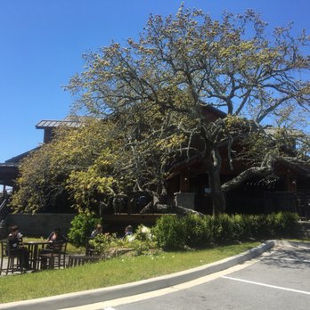 Duplin Winery - 225 Photos & 145 Reviews - Wine Tasting Room - 4650 Hwy ...