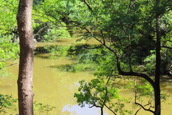 Rosharon, TX Map & Directions - MapQuest