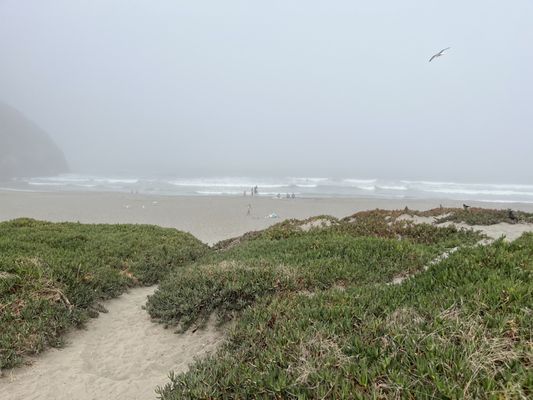 Trinidad, CA Map & Directions - MapQuest