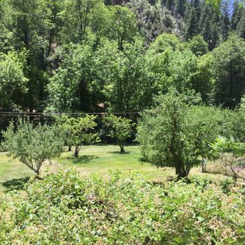 Junipine Resort - 94 Photos & 92 Reviews - Resorts - 8351 N Hwy 89A ...