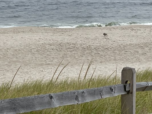 Point Pleasant Beach, NJ Map & Directions - MapQuest