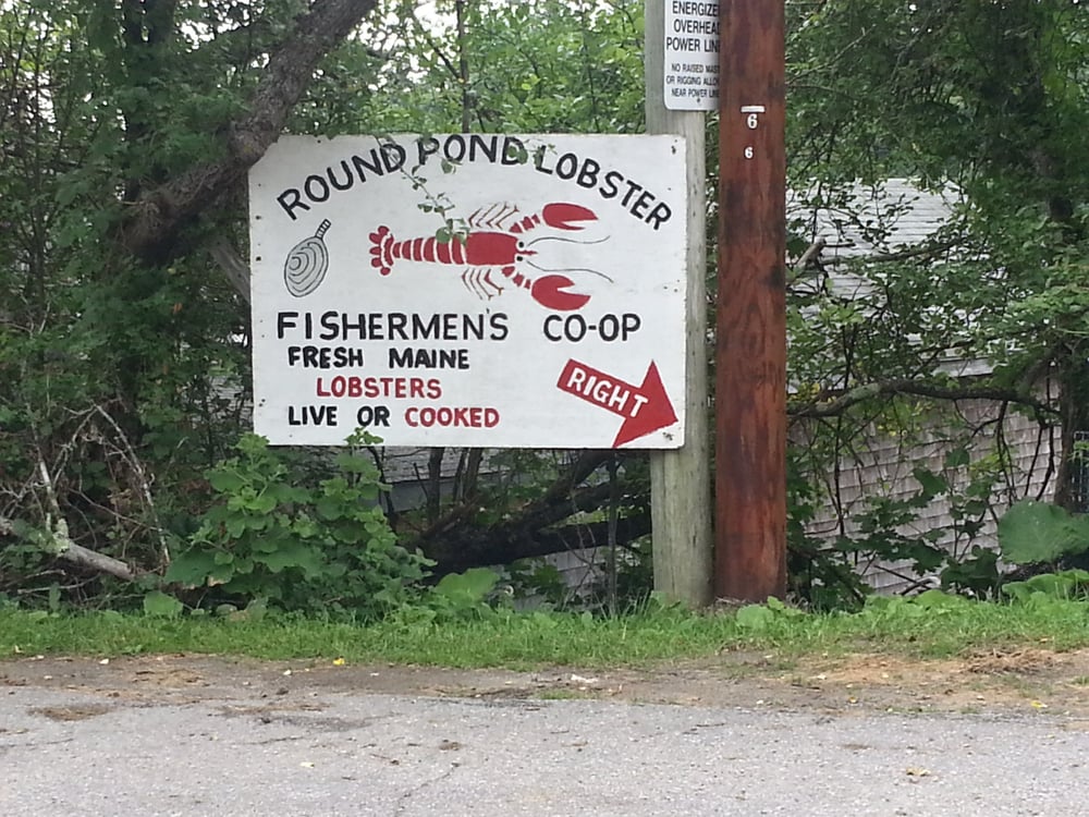 Round Pond Lobster Co-op - 13 Reviews - Seafood - 25 Landing Rd, Round ...
