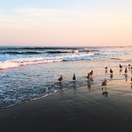 Strathmere Beach - 28 Photos - Beaches - Tecumseh Ave, Strathmere, NJ ...