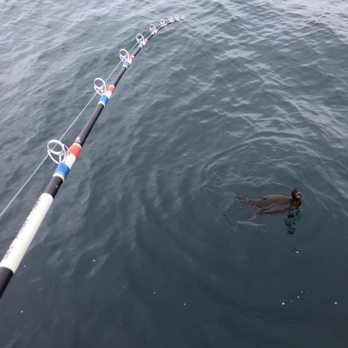 Point Loma Sportfishing - 128 Photos & 140 Reviews - Fishing - 1403 ...