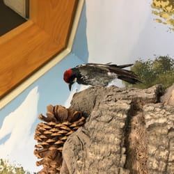 San Dimas Canyon Nature Center - Zoos - San Dimas, CA - Yelp