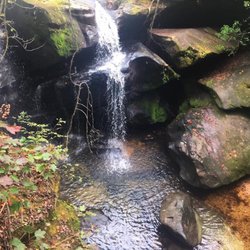 Sipsey Wilderness - Hiking - Sipsey Wilderness, Mount Hope, AL - Phone ...