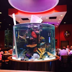 The Cowfish Sushi Burger Bar - 1356 Photos & 1245 Reviews - Sushi Bars ...