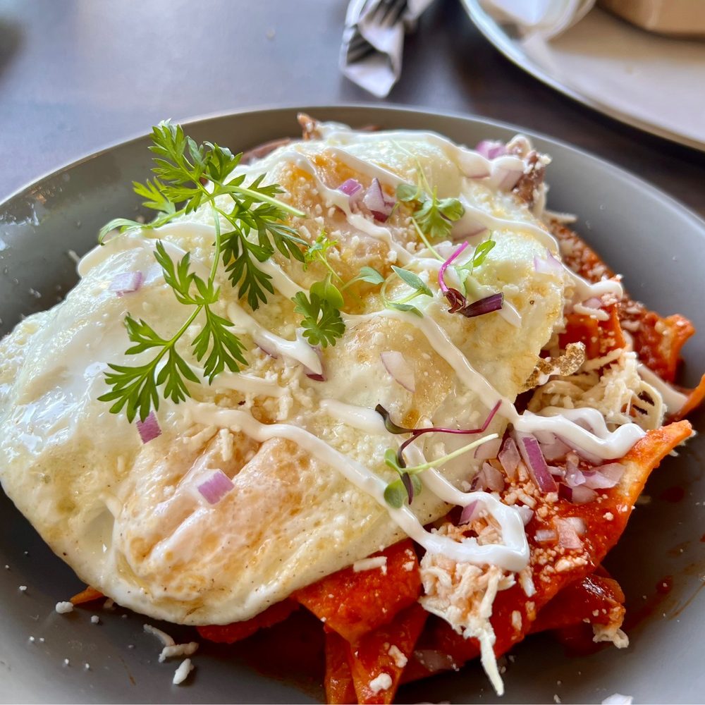 Good Eats in Stone Oak! - San Antonio, TX - Last Updated April 2024 - Yelp