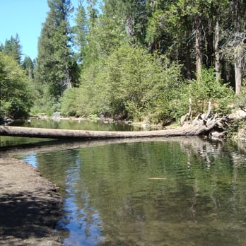 Pipi Campground - 88 Photos & 29 Reviews - Campgrounds - Pioneer, CA ...