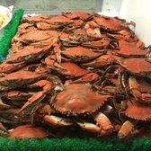 Pinchers - 93 Photos & 118 Reviews - Seafood - 900 Venetia Bay Blvd ...