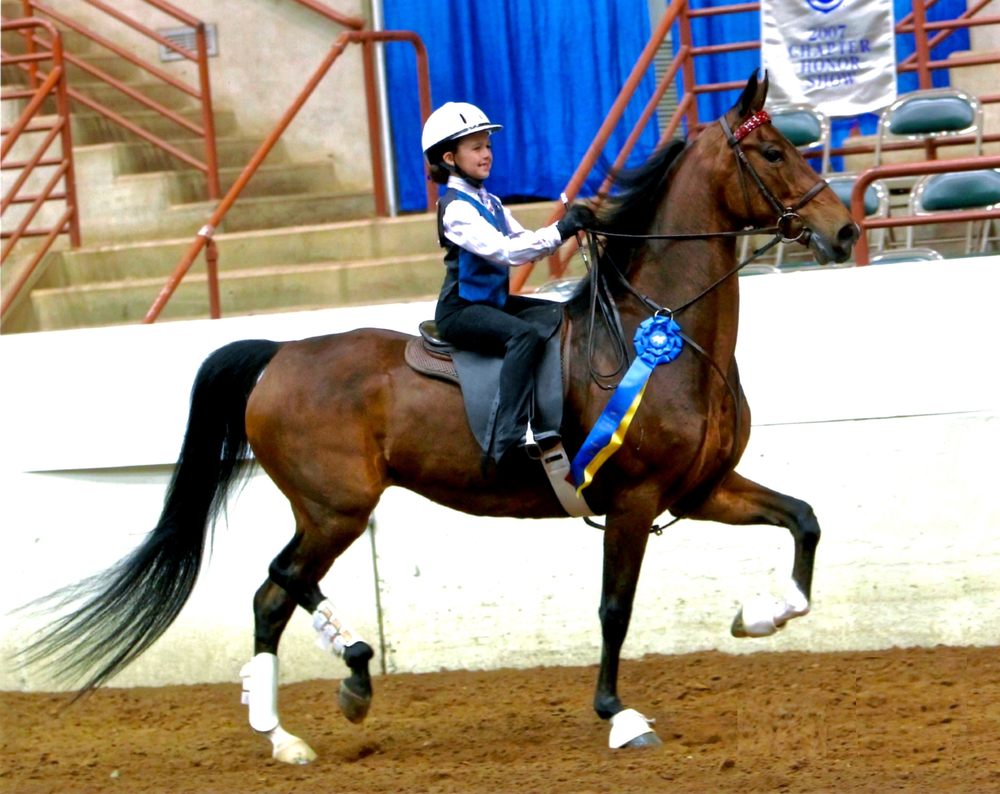 Golden Isles Riding Academy - 21 Photos - Horseback Riding - 264 ...