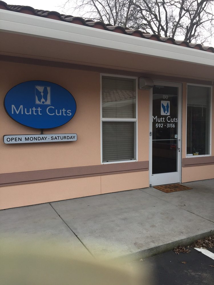 Mutt Cuts - 13 Photos - Pet Groomers - 2991 Esplanade, Chico, CA ...
