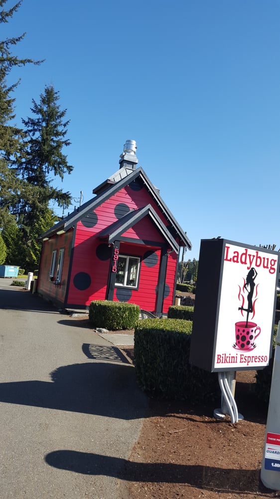 Ladybug Espresso - Coffee & Tea - 5915 Hannah Pierce Rd W, University ...