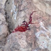 Griffith Park - Check Availability - 1117 Photos & 520 Reviews - Parks ...