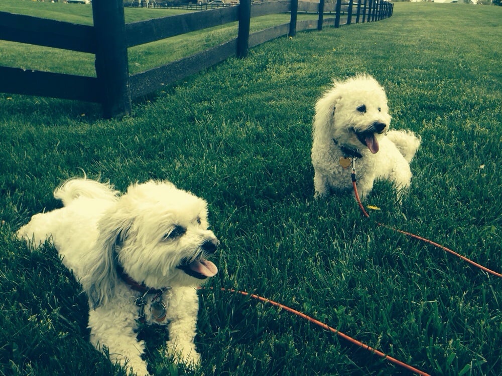 Ida Lee Park Recreation Center - 12 Photos & 17 Reviews - Recreation ...