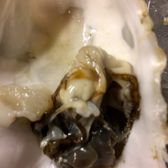 Sunh Fish - 417 Photos & 232 Reviews - Seafood Markets - 1900 V St ...