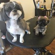 Sissy’s Pet Grooming Salon - 56 Photos & 28 Reviews - Pet Groomers - 7350 N La Cholla Blvd ...