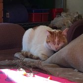 TRAK - Therapeutic Ranch For Animals and Kids - 20 Photos - Community ...