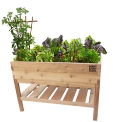 Mini Farm Box - Nurseries & Gardening - 3577 N Figueroa St, Mount ...