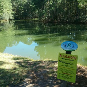 North Charleston Wannamaker County Park - 88 Photos & 43 Reviews ...