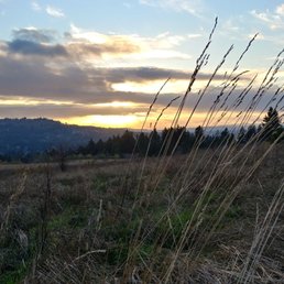 Powell Butte Nature Park - 238 Photos & 62 Reviews - Parks - 16160 SE ...