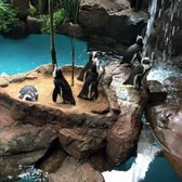 The Dallas World Aquarium - 1547 Photos & 728 Reviews - Aquariums ...