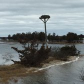 Orient Beach State Park - 78 Photos & 28 Reviews - Parks - 40000 Main ...