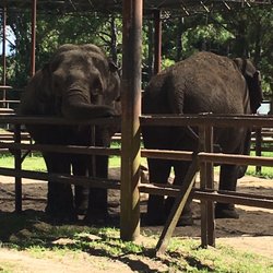 Two Tails Ranch - 39 Photos & 39 Reviews - Zoos - 18655 NE 81st St ...