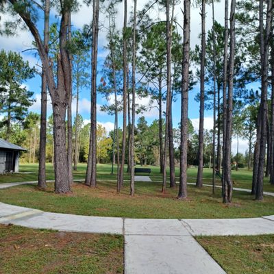 Jasper, FL Map & Directions - MapQuest