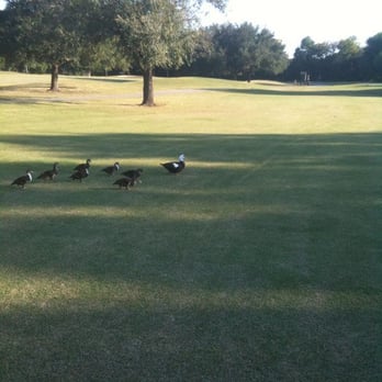 Sharpstown Golf Course, Houston, Texas - Golf course information and ...