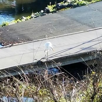 Lake Chabot Regional Park - 869 Photos & 382 Reviews - Parks - 17930 ...